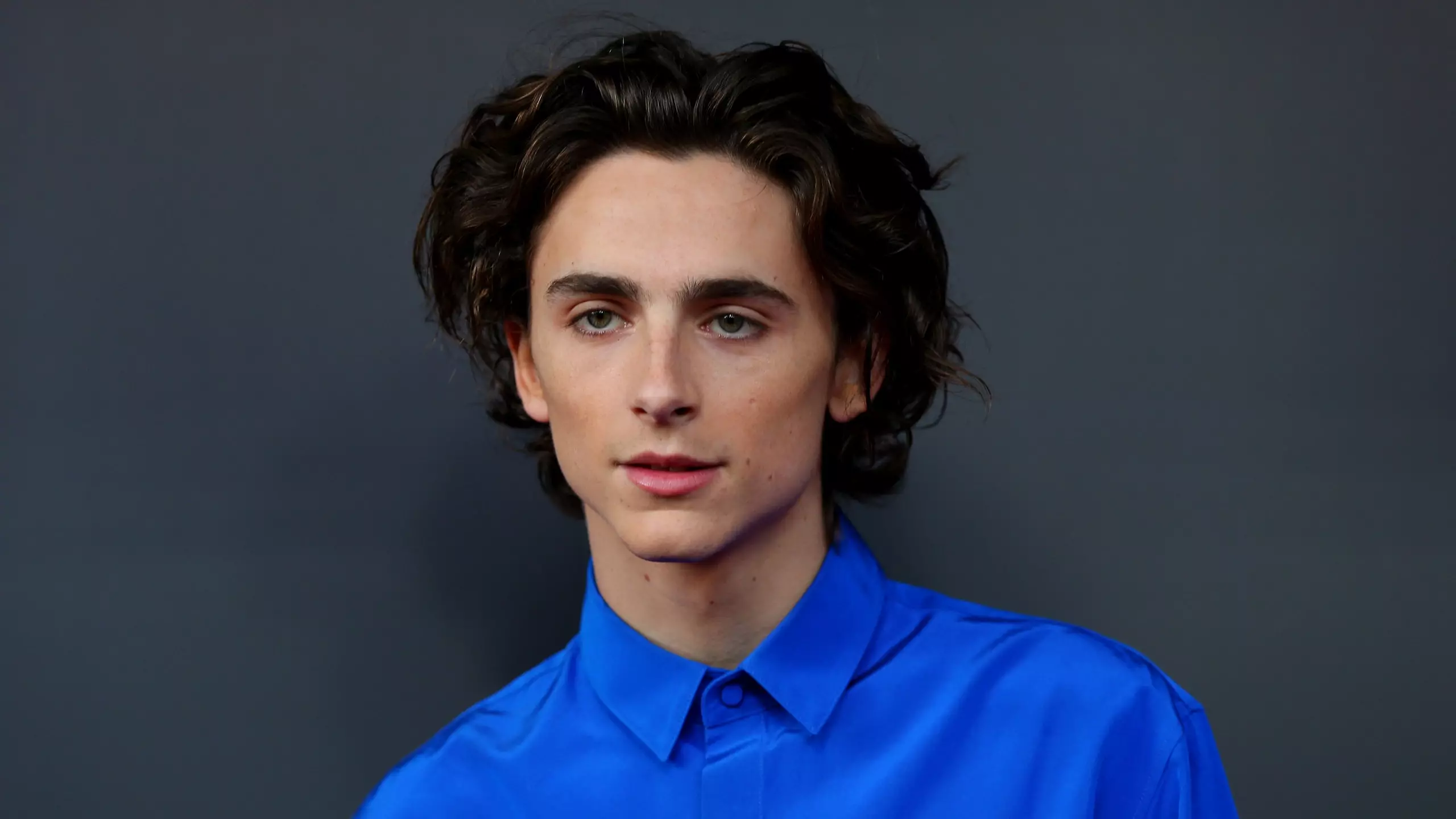 Timothe Chalamet's hairstyle.