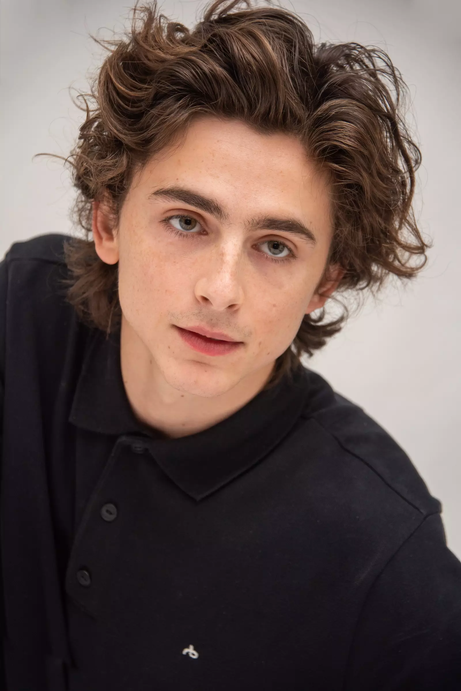 Timothe Chalamet's hairstyle.