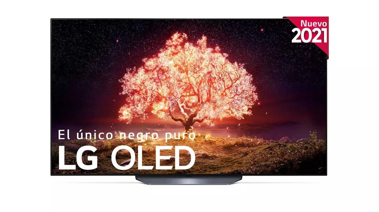 LG OLED televizyon OLED65B1
