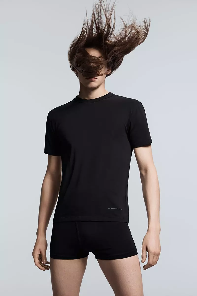 uniqlo alexander wang alushousut