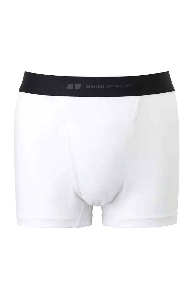 uniqlo alexander wang briefs