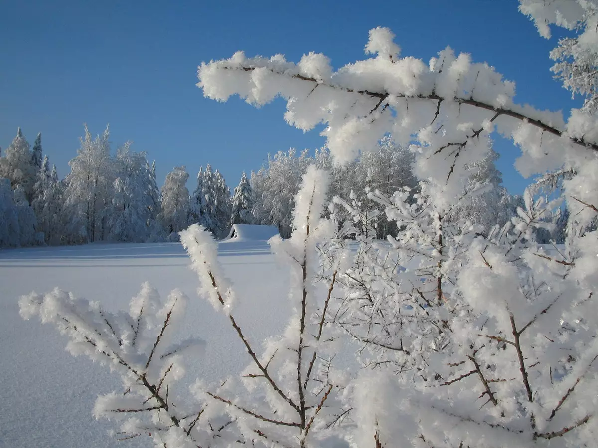 Finland