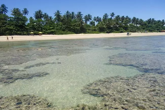 Ang mga baybayon nga 20 nga labing maayo sa kalibutan ginganlan na