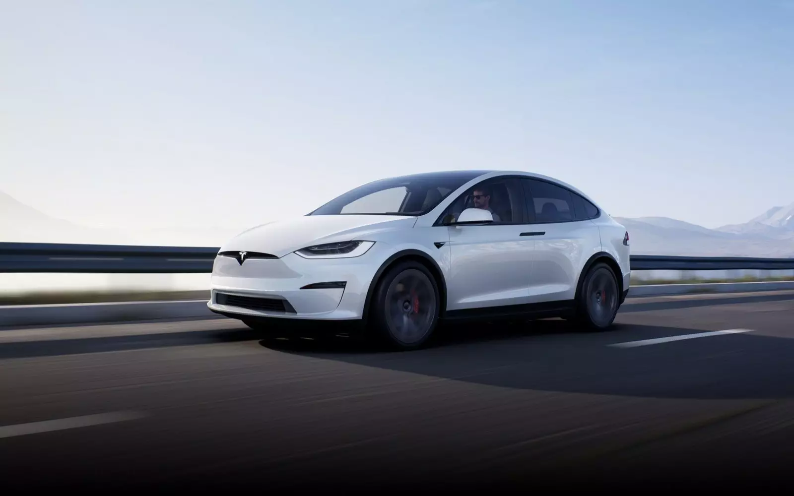 Novak Djokovic Tesla Model X 2021