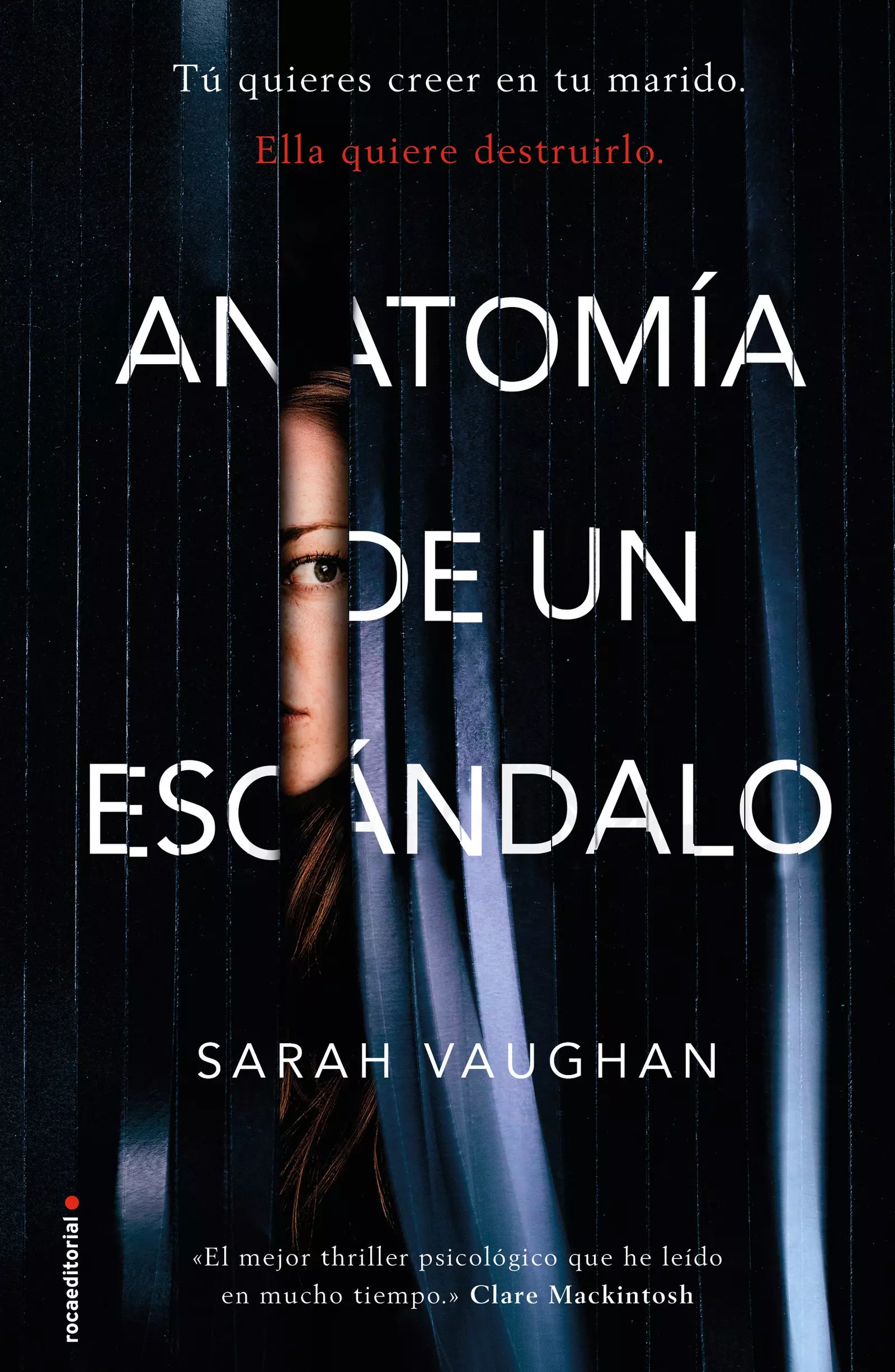 Anatomy of a Scandal troch Sarah Vaughan