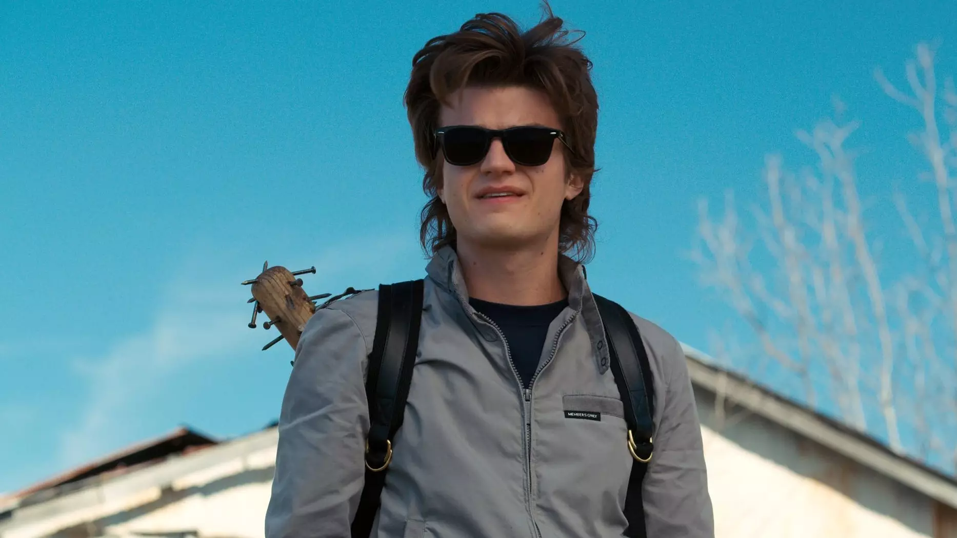 እንግዳ ነገሮችstevejoekeery