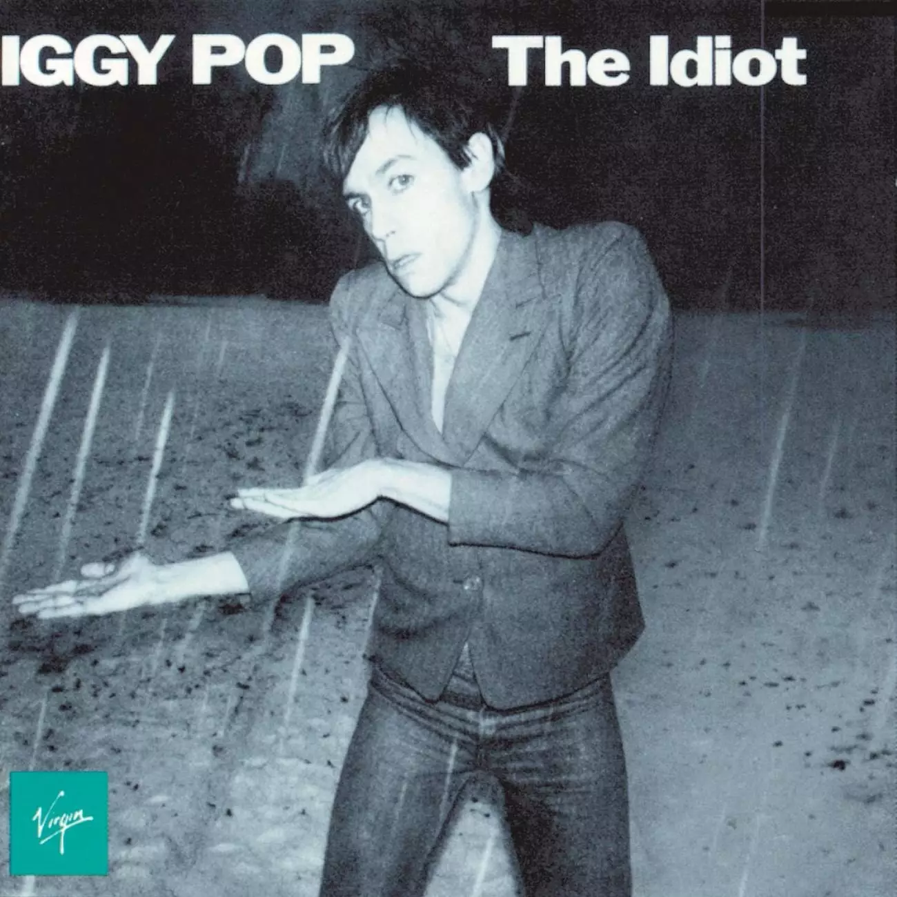 iidiotiggypop