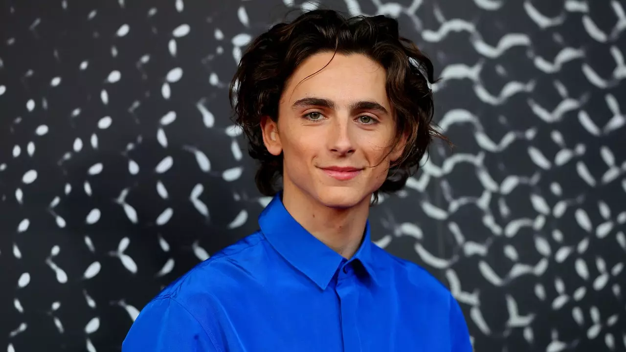 Një serum flokësh është (pothuajse) e vetmja gjë që ju nevojitet për të pasur flokët e Timothée Chalamet ose Harry Styles