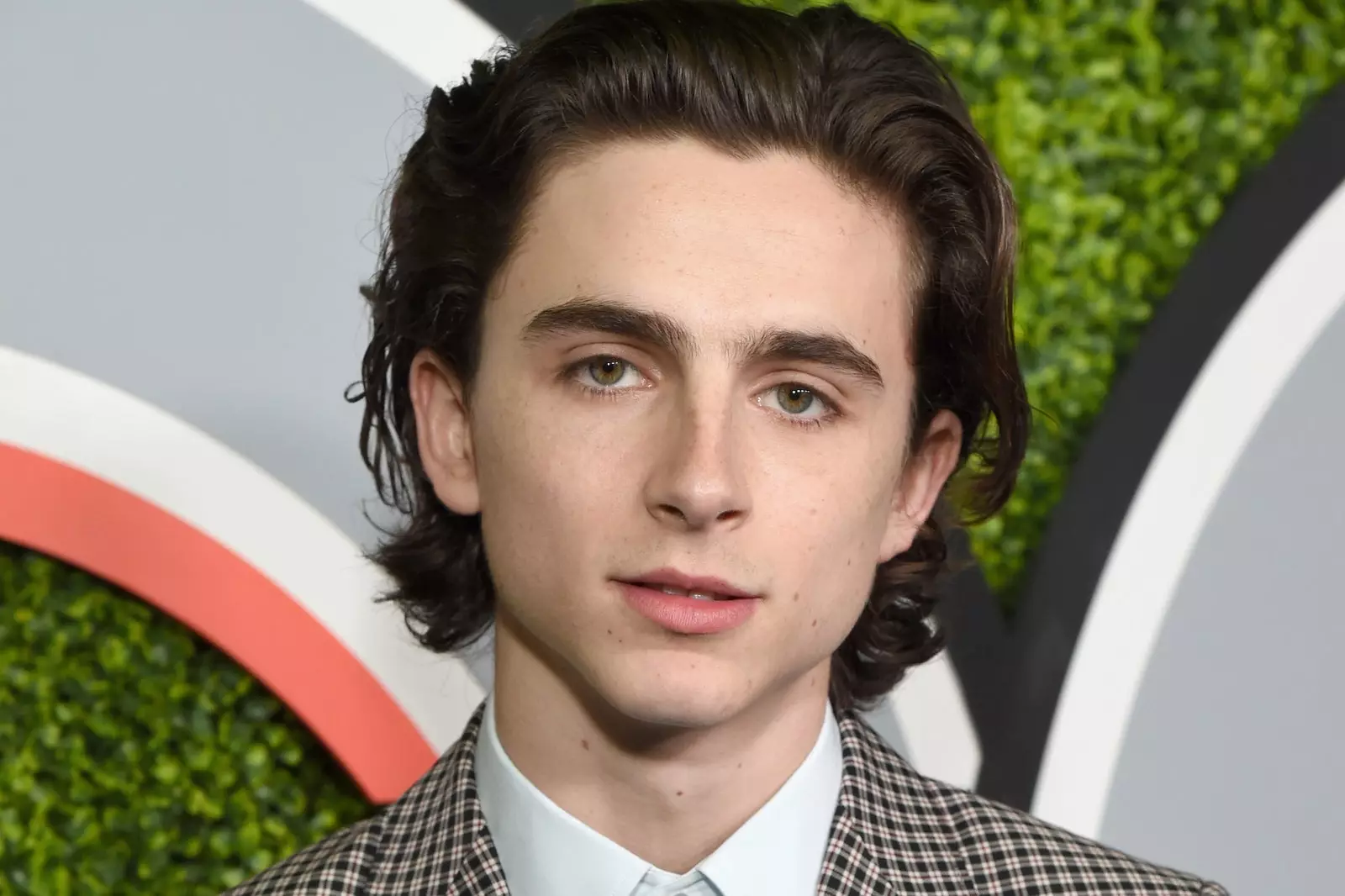 chalamet