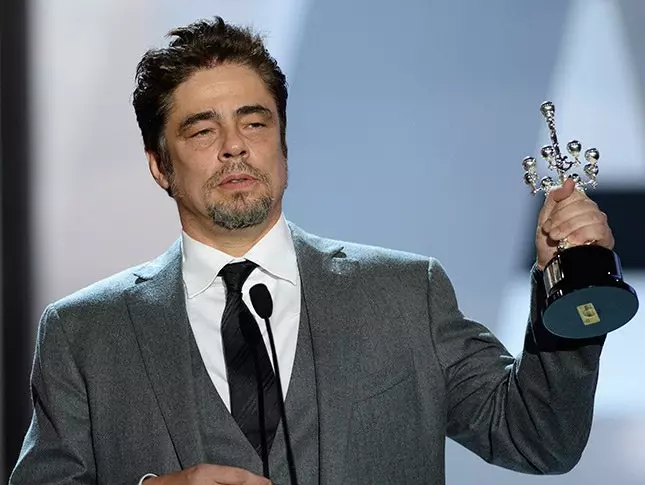 benicio del toro preis donostia san sebastian