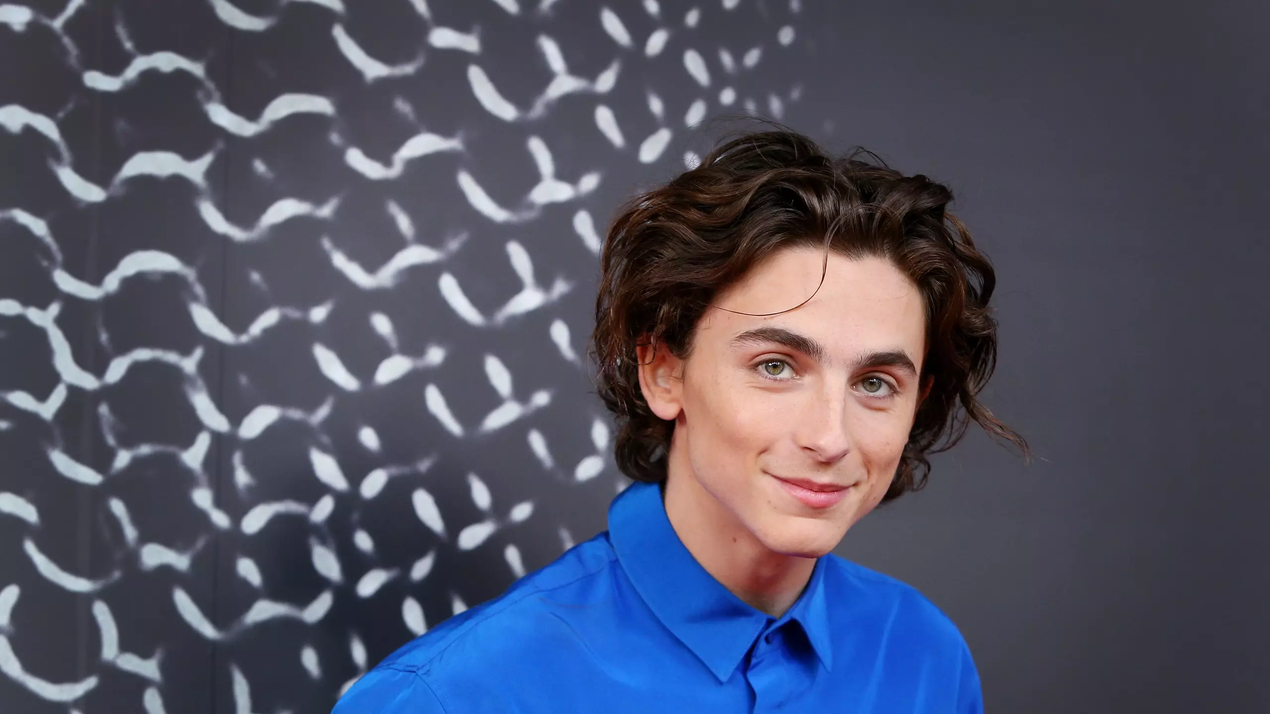 SYDNEY AUSTRALIA OCTOBER 10 Timothee Chalamet attends the Australian premiere of THE KING at Ritz Cinema on October 10...