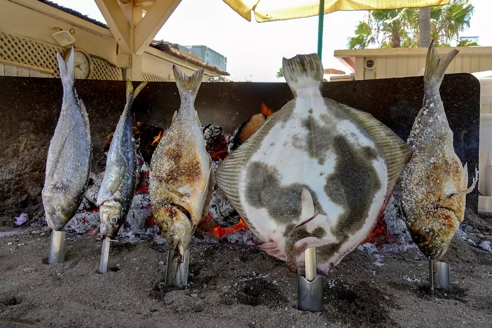 Zo zit de beste strandbar van Spanje in