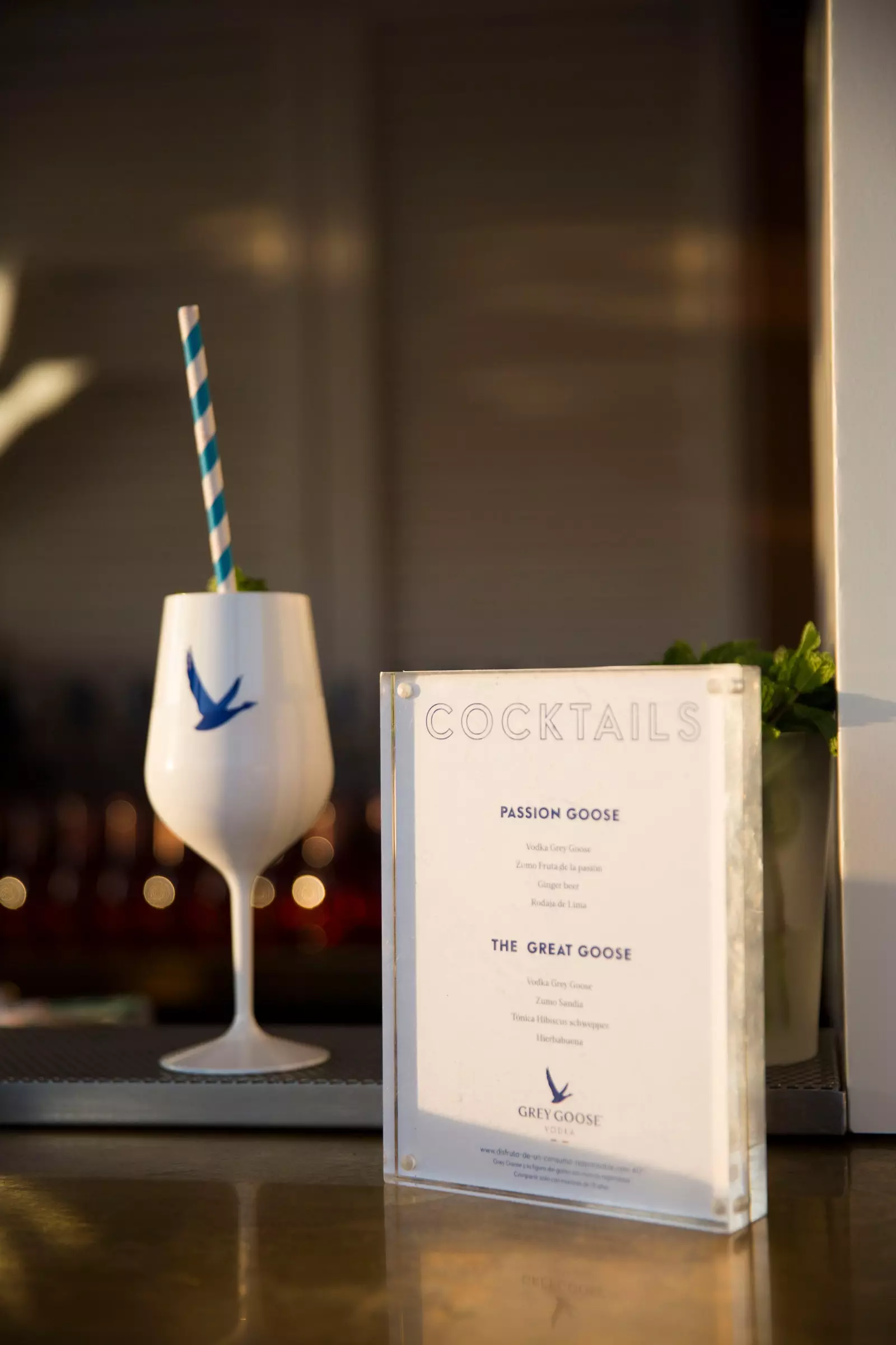 Passion Goose si Grey Goose doua cocktail-uri cu care sa faci din fiecare ocazie un moment unic.