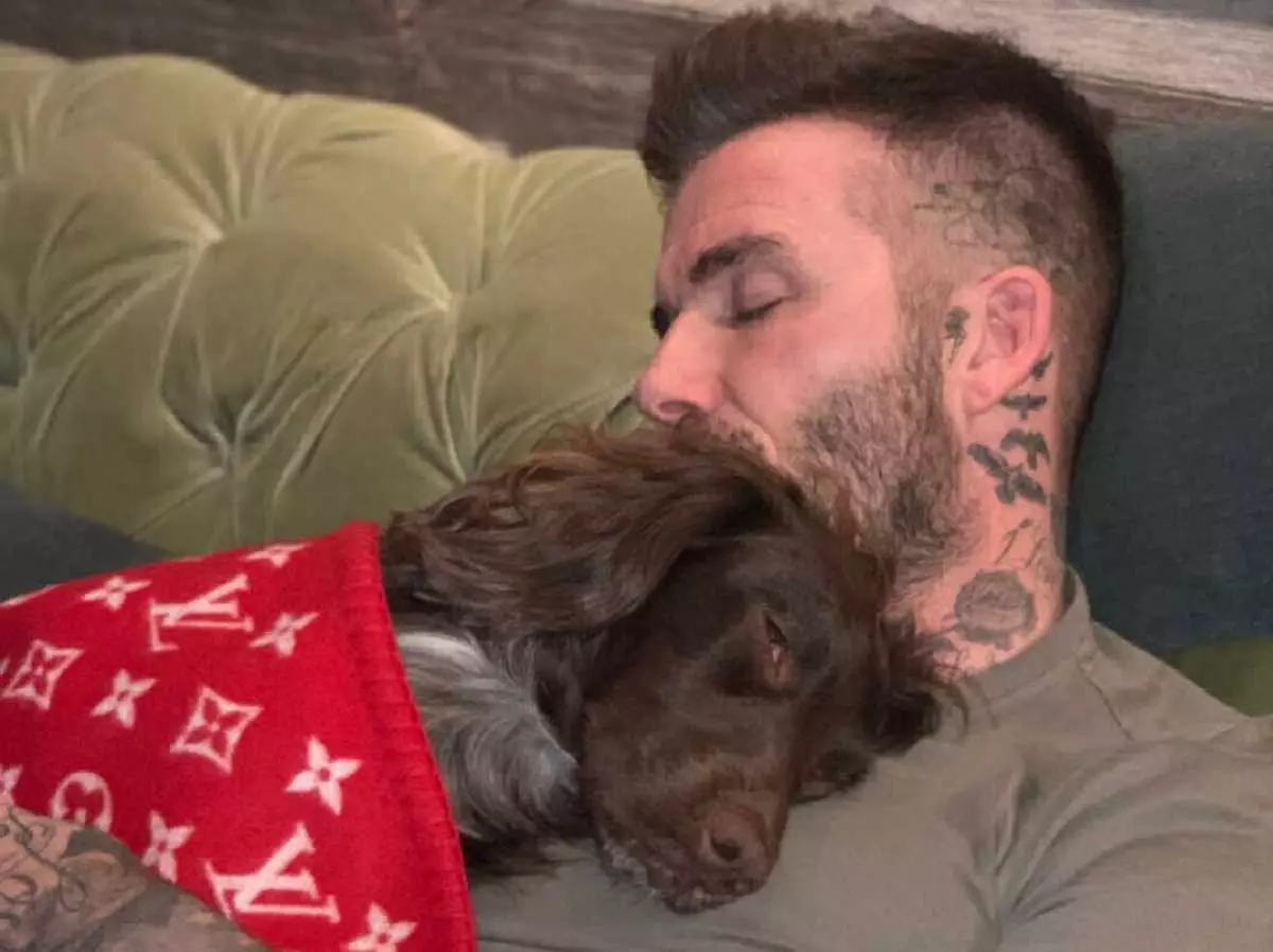 Potrebbe esserci qualcosa di meglio che dormire con Beckham che dorme con il cane di Beckham.