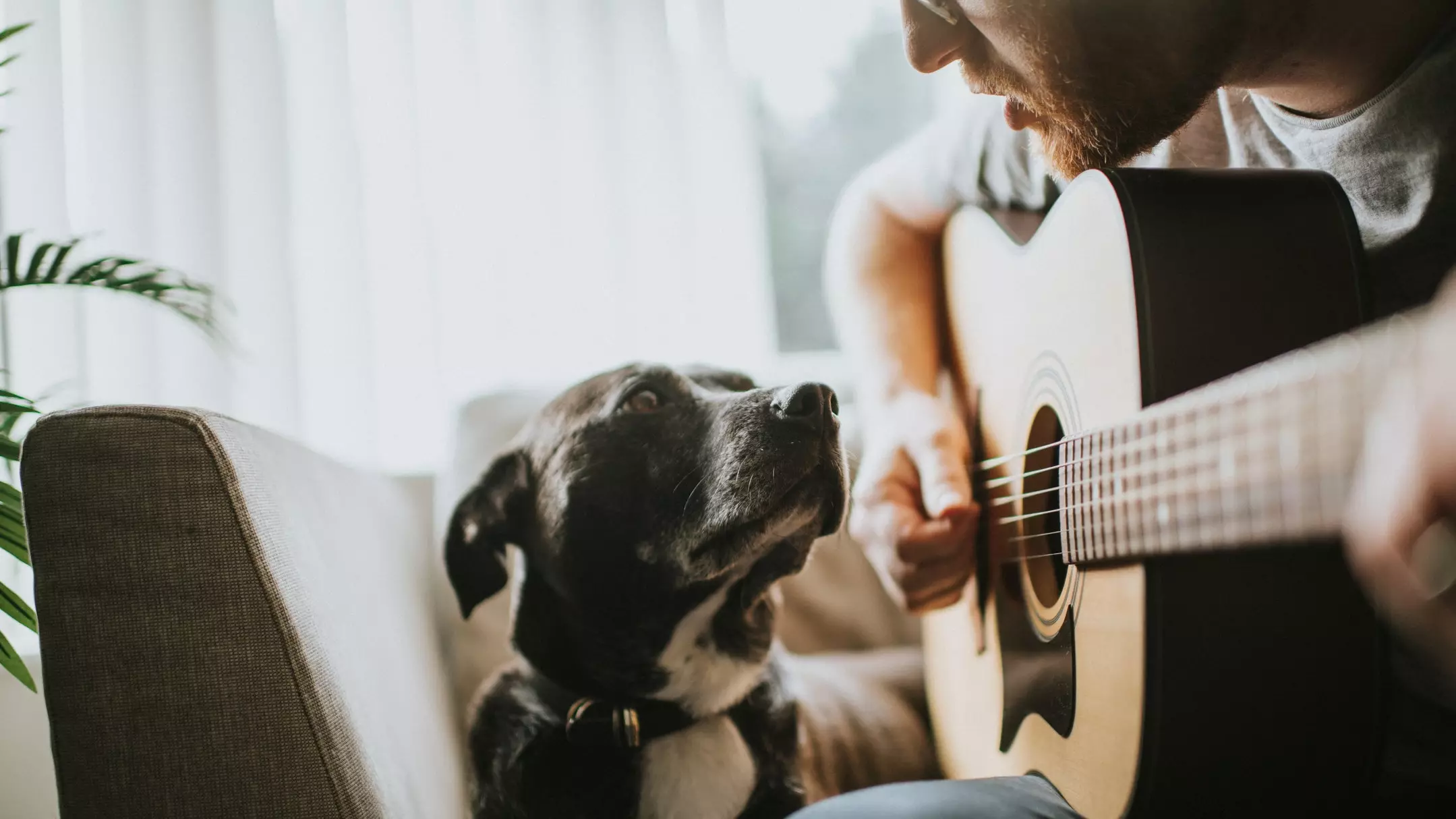 homme chantant et jouant de la guitare à son chien