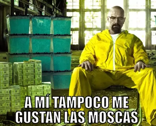 breaking bad meme muhe