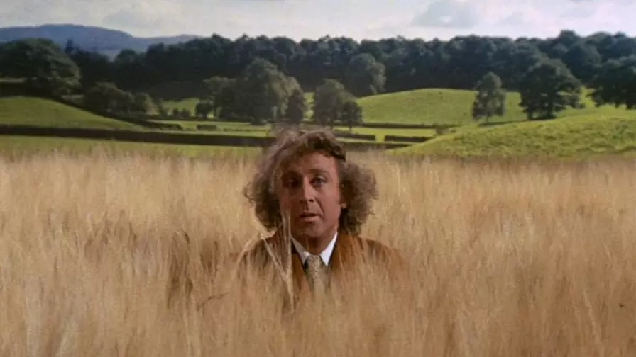 gene Wilder yar amiir