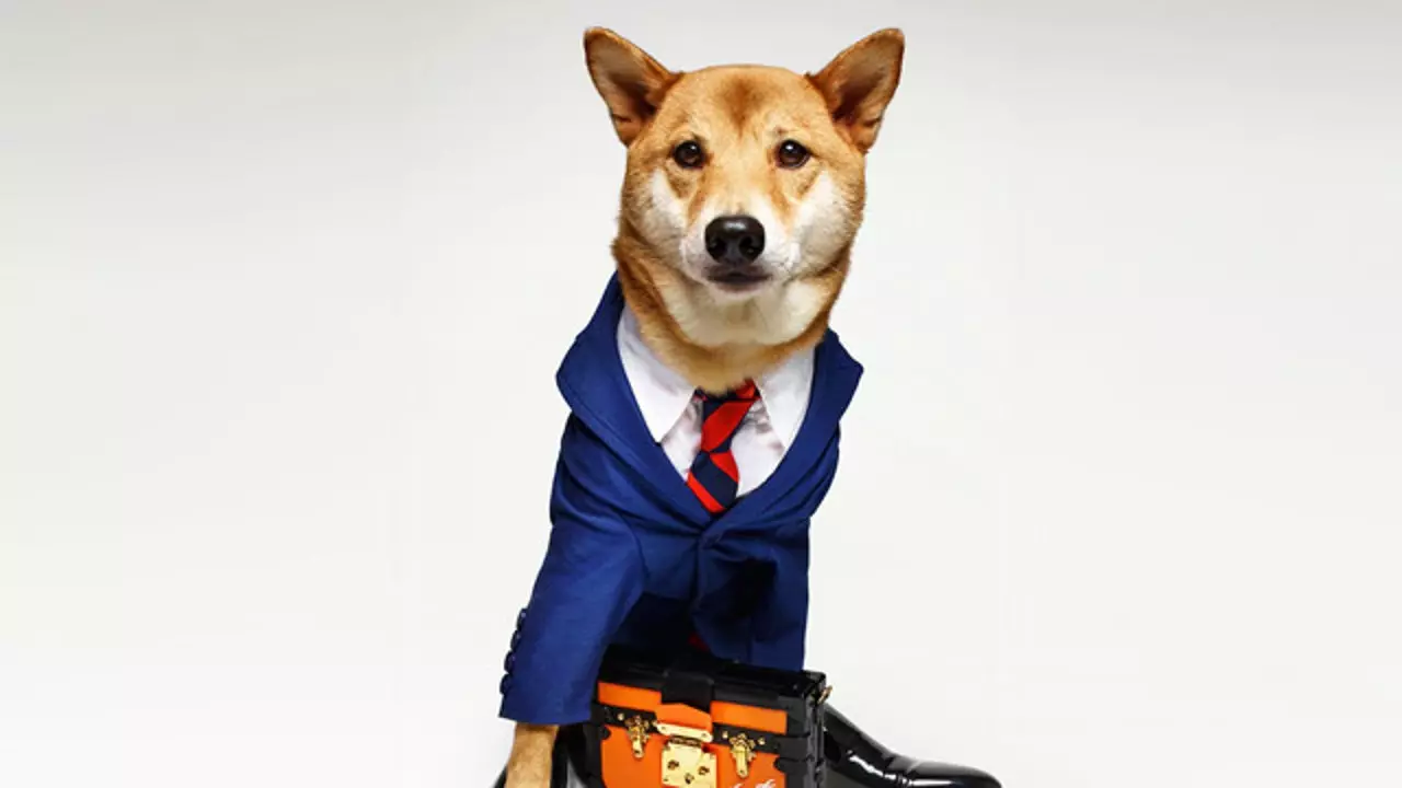 Bodhi, aka Menswear Dog, maara karịa gị na anyị niile ọnụ gbasara nka eji ejiji nke ọma