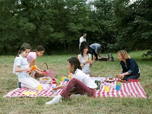 Picnic