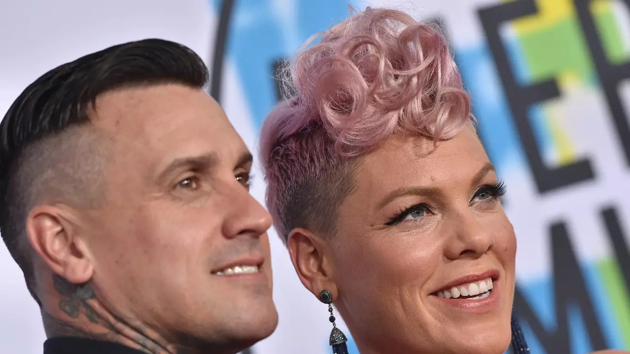 None of the theories that justify the use of firearms resembles that of Pink's husband