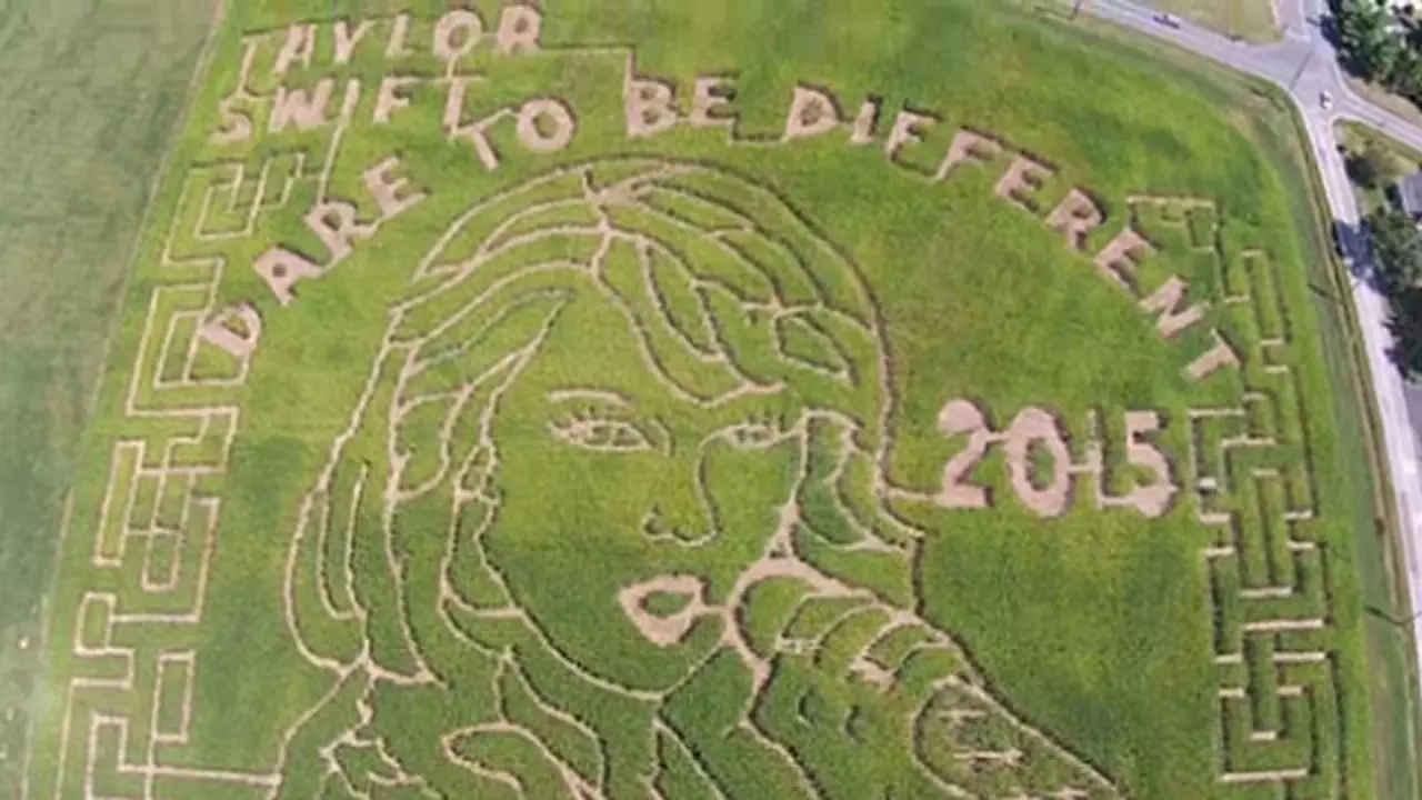 They Carved Taylor Swift's Face In A Cornfield, So You Might Sleep On The Couch