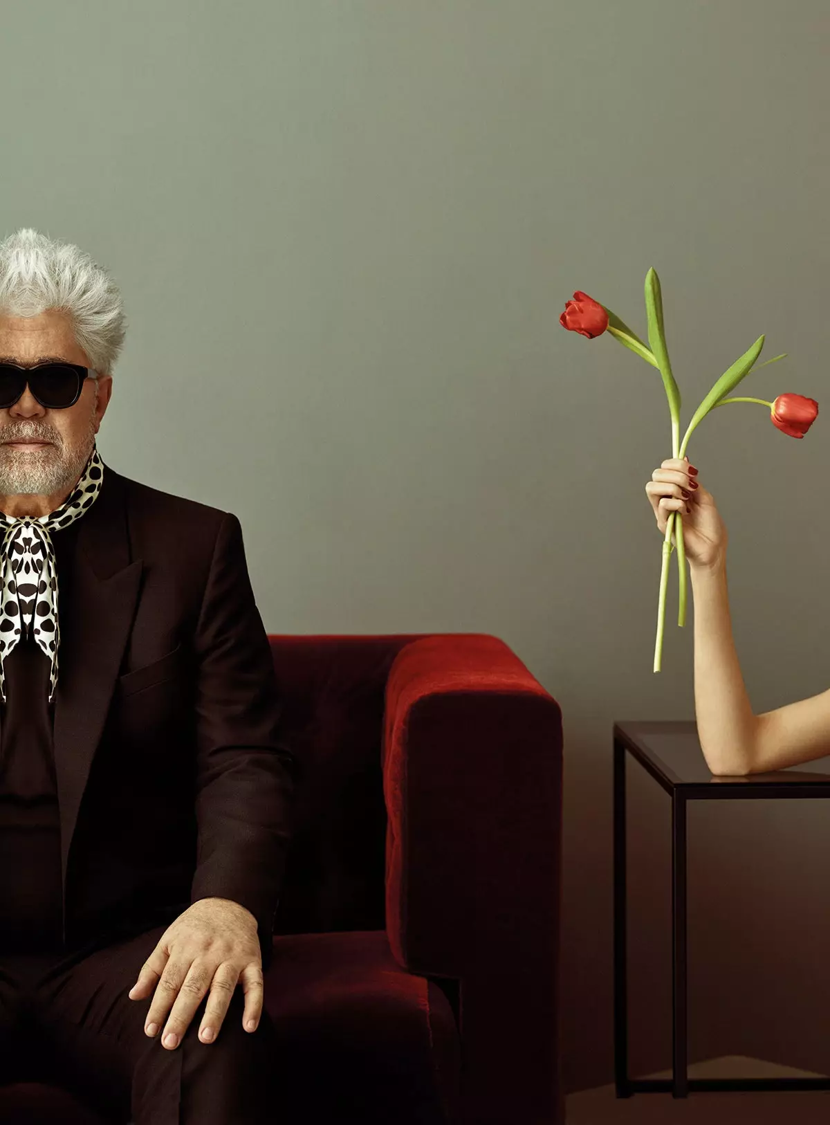 interview almodovar pijn en glorie gq