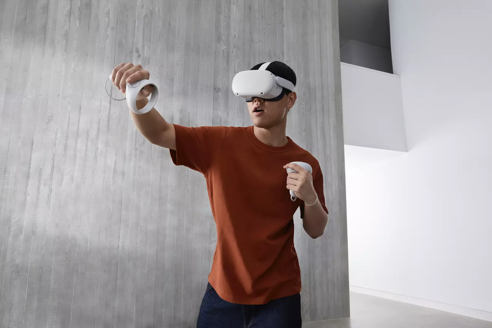 Oculus Quest 2.png