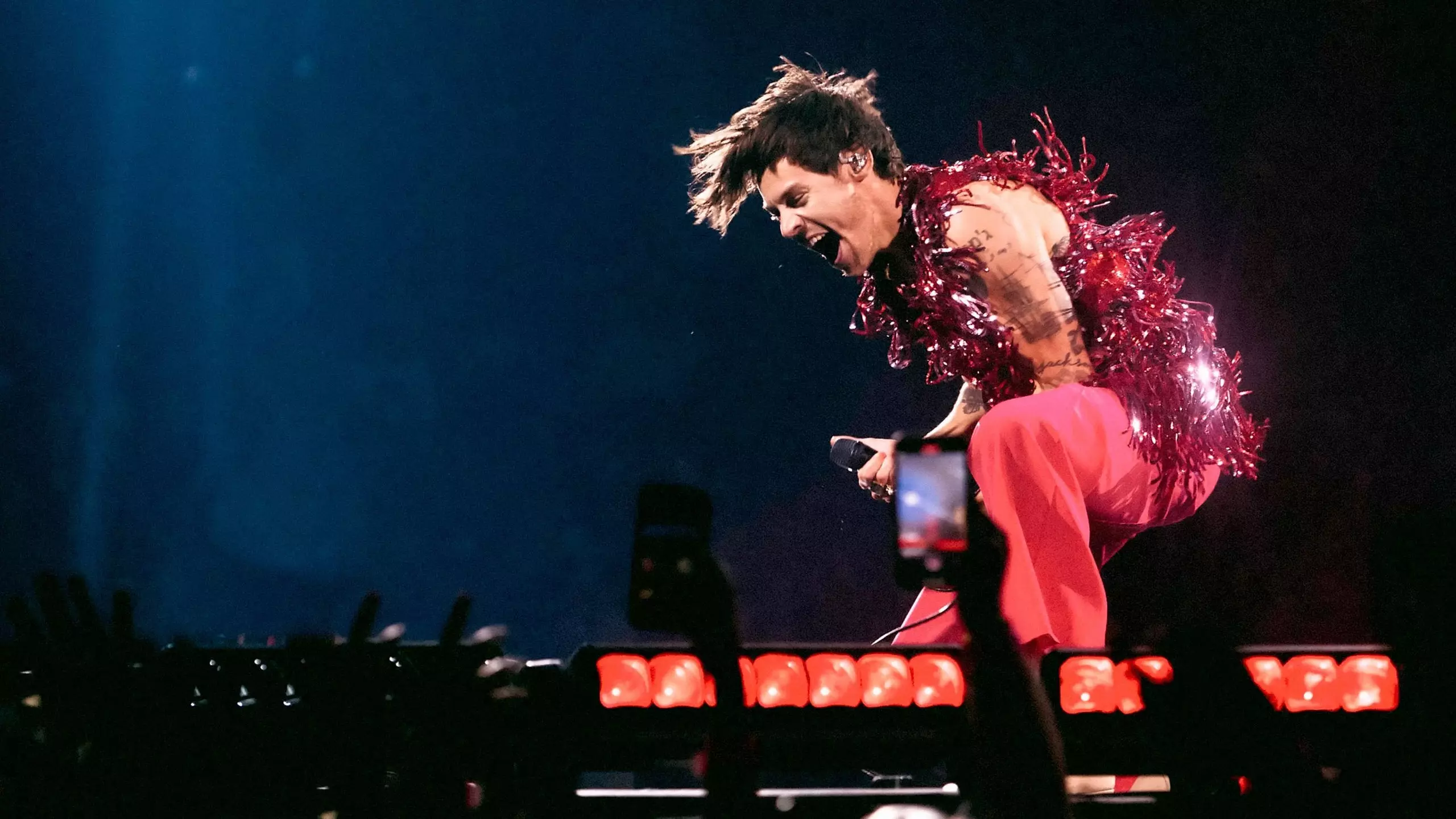 Harry Styles dalam konser