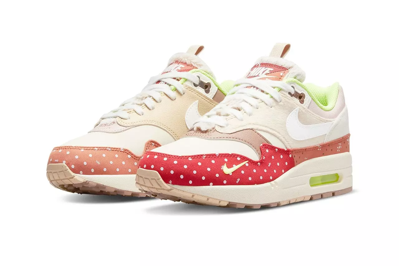 Imbwa ihumeka Nike Air Max 1 nigitekerezo cyiza cyo kugendana ninshuti yawe magara