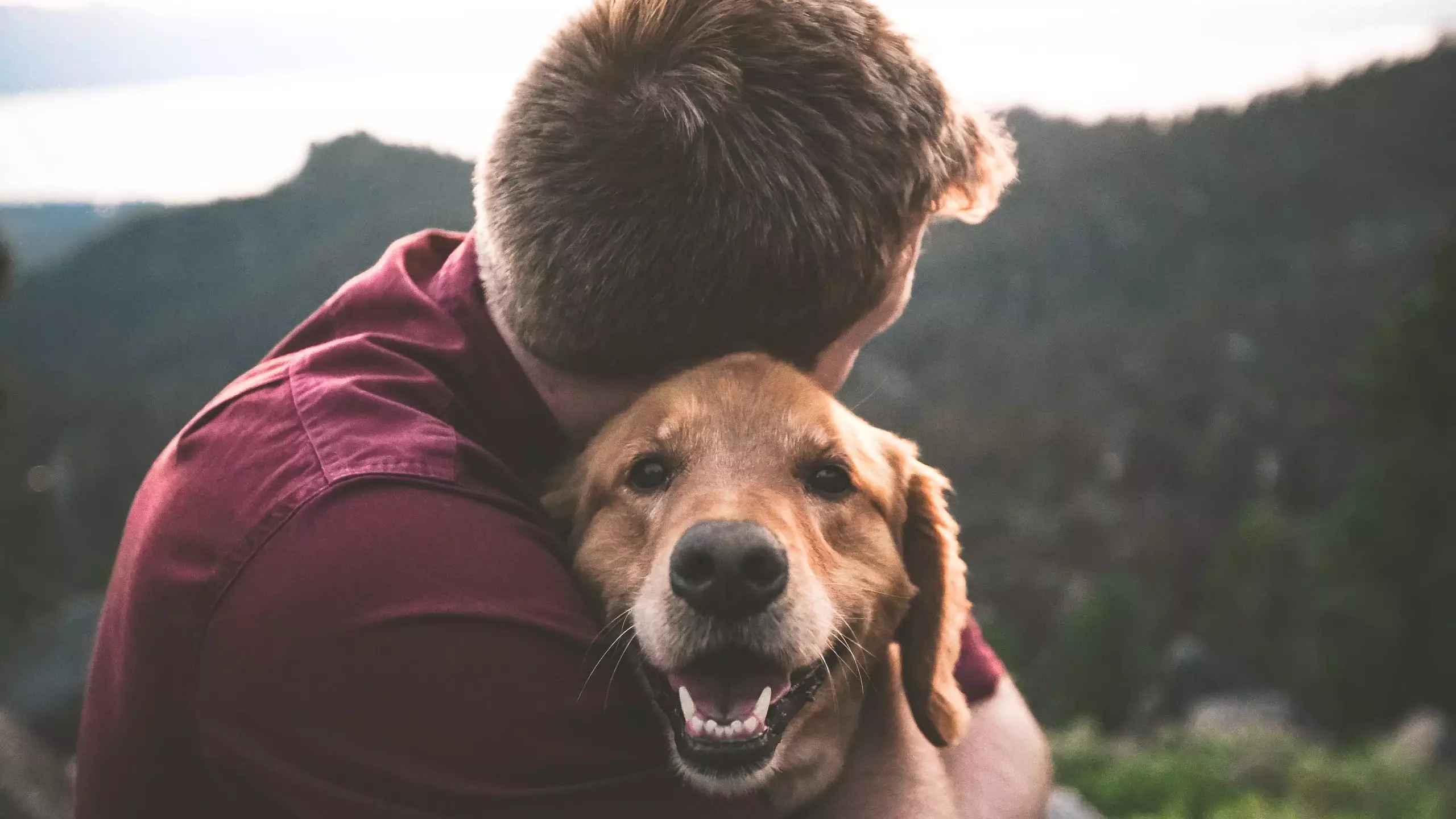 Naha urang bogoh pisan ka pets urang nurutkeun elmu